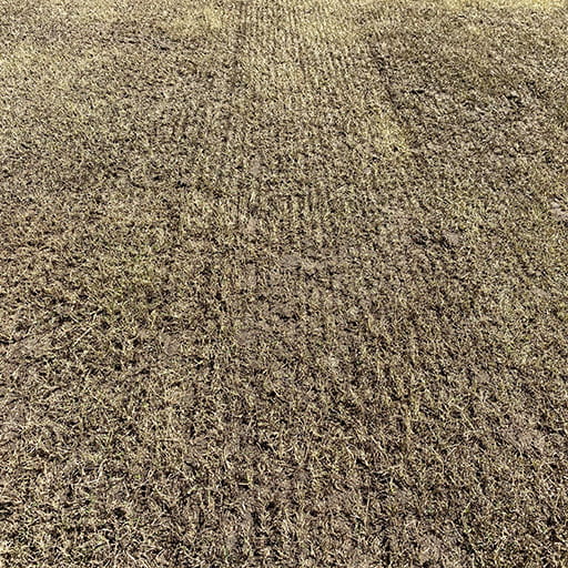 13th Beach Gardening Services